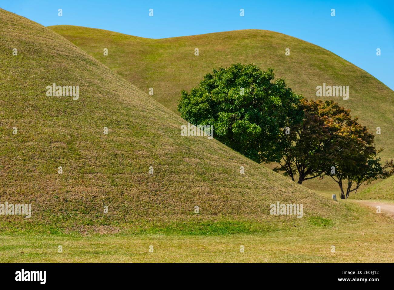 Tumuli park containing several royal tombs at Gyeongju, Republic of ...