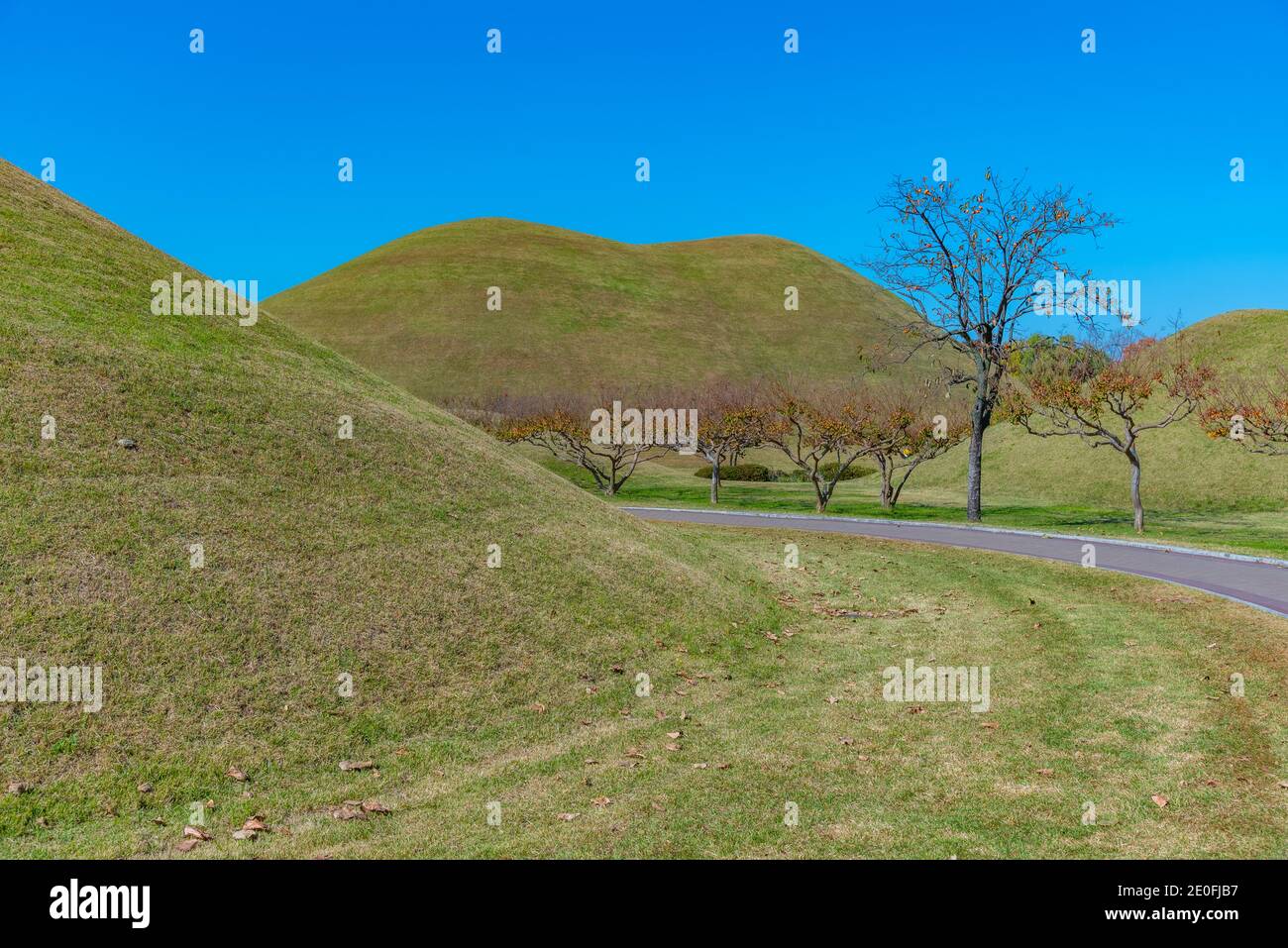 Tumuli park containing several royal tombs at Gyeongju, Republic of ...