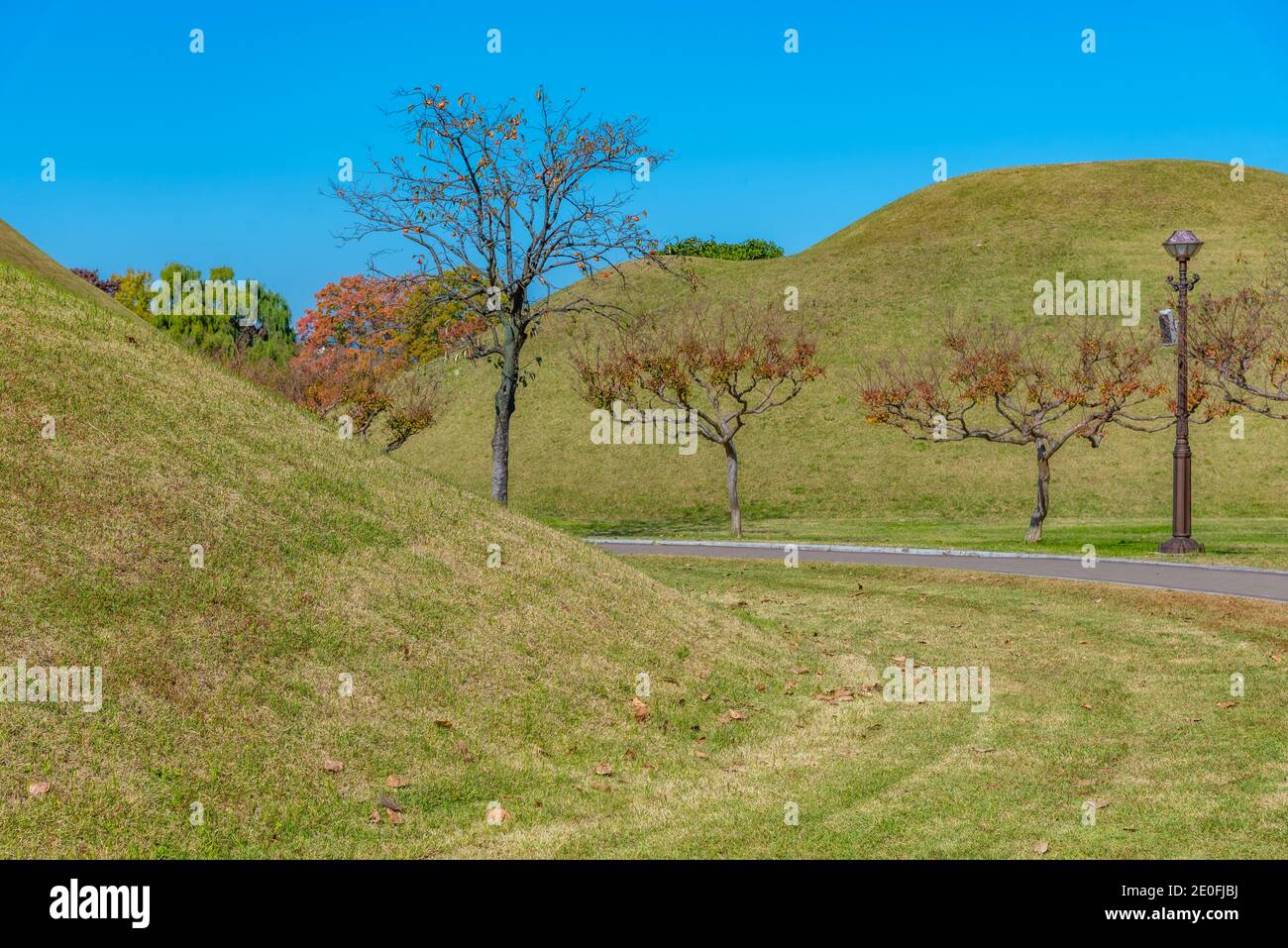 Tumuli park containing several royal tombs at Gyeongju, Republic of ...