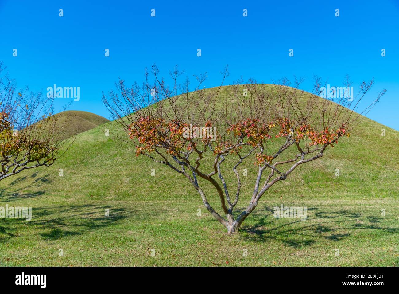 Tumuli park, shila tombs hi-res stock photography and images - Alamy