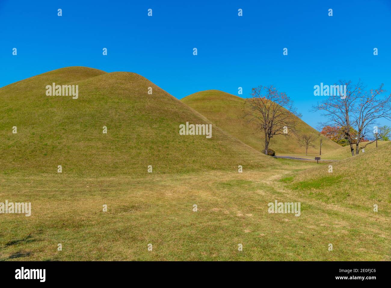Tumuli park containing several royal tombs at Gyeongju, Republic of ...