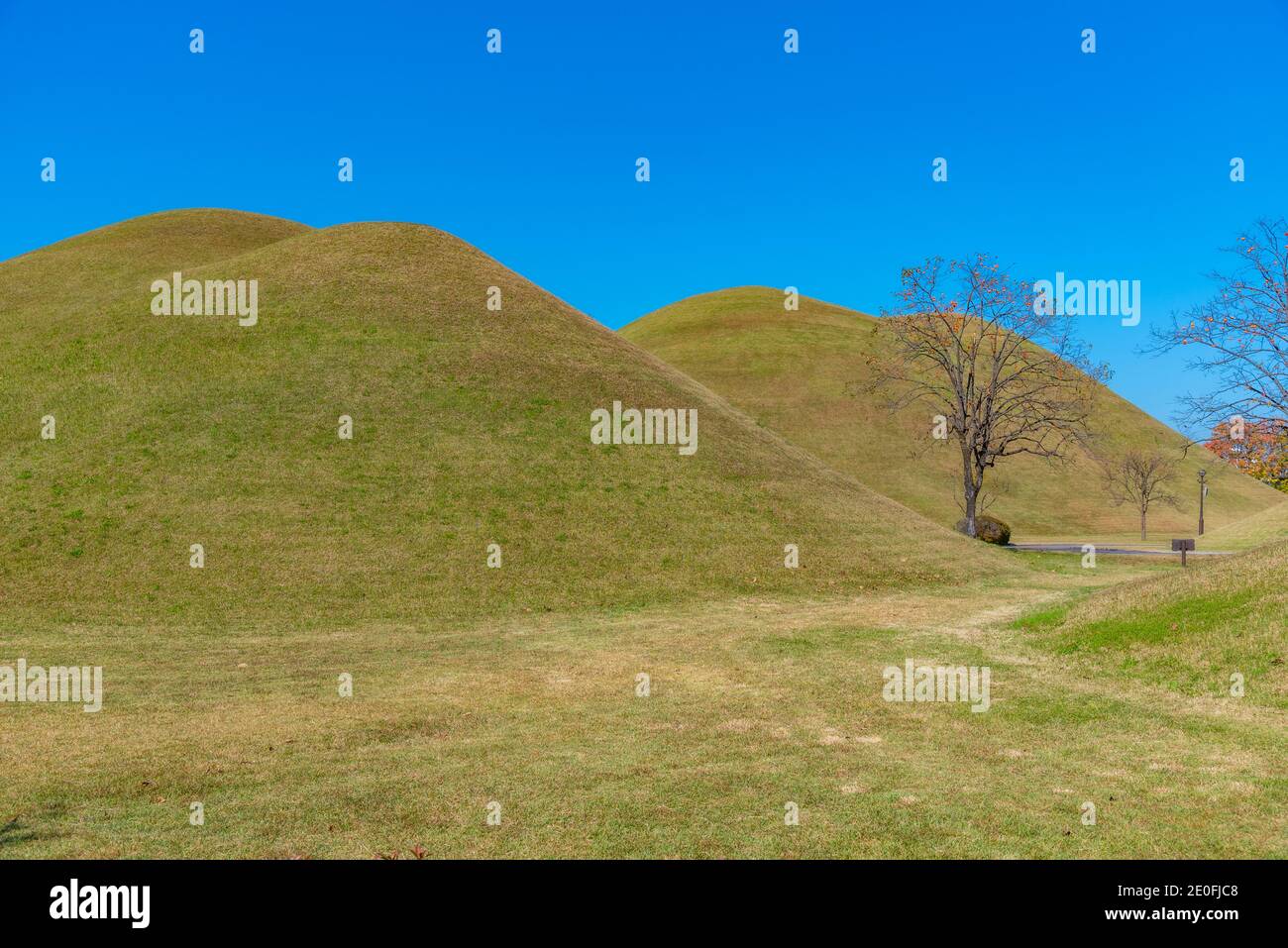 Tumuli park royal tombs gyeongju hi-res stock photography and images ...