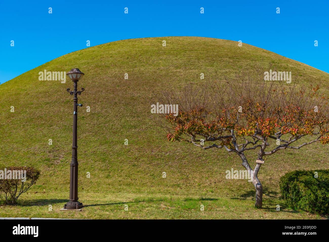 Cheonmachong tomb at Tumuli park in Gyeongju, Republic of Korea Stock ...