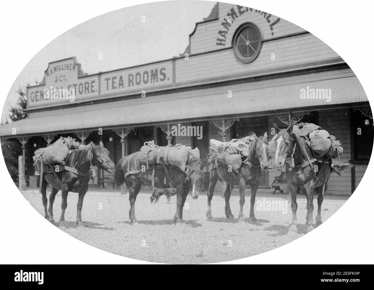 Hanmer springs family resort hi-res stock photography and images - Alamy