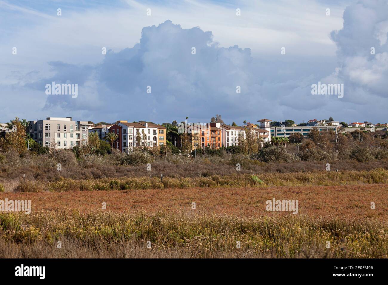 Ballona wetlands ecological reserve hi-res stock photography and images ...