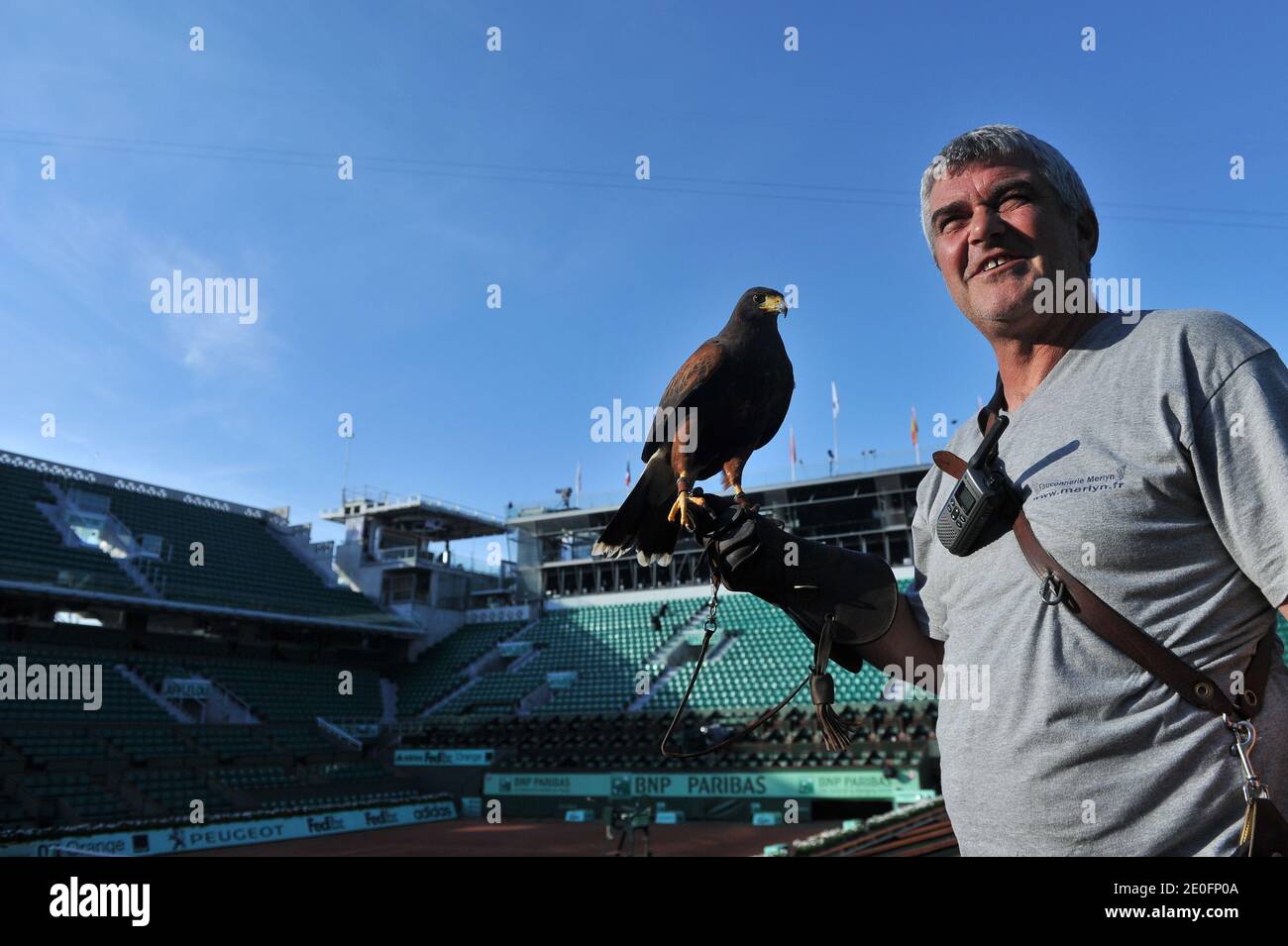 Ludwig Verschatse and his hawk (Name Tara, 6 years old) work at Roland ...