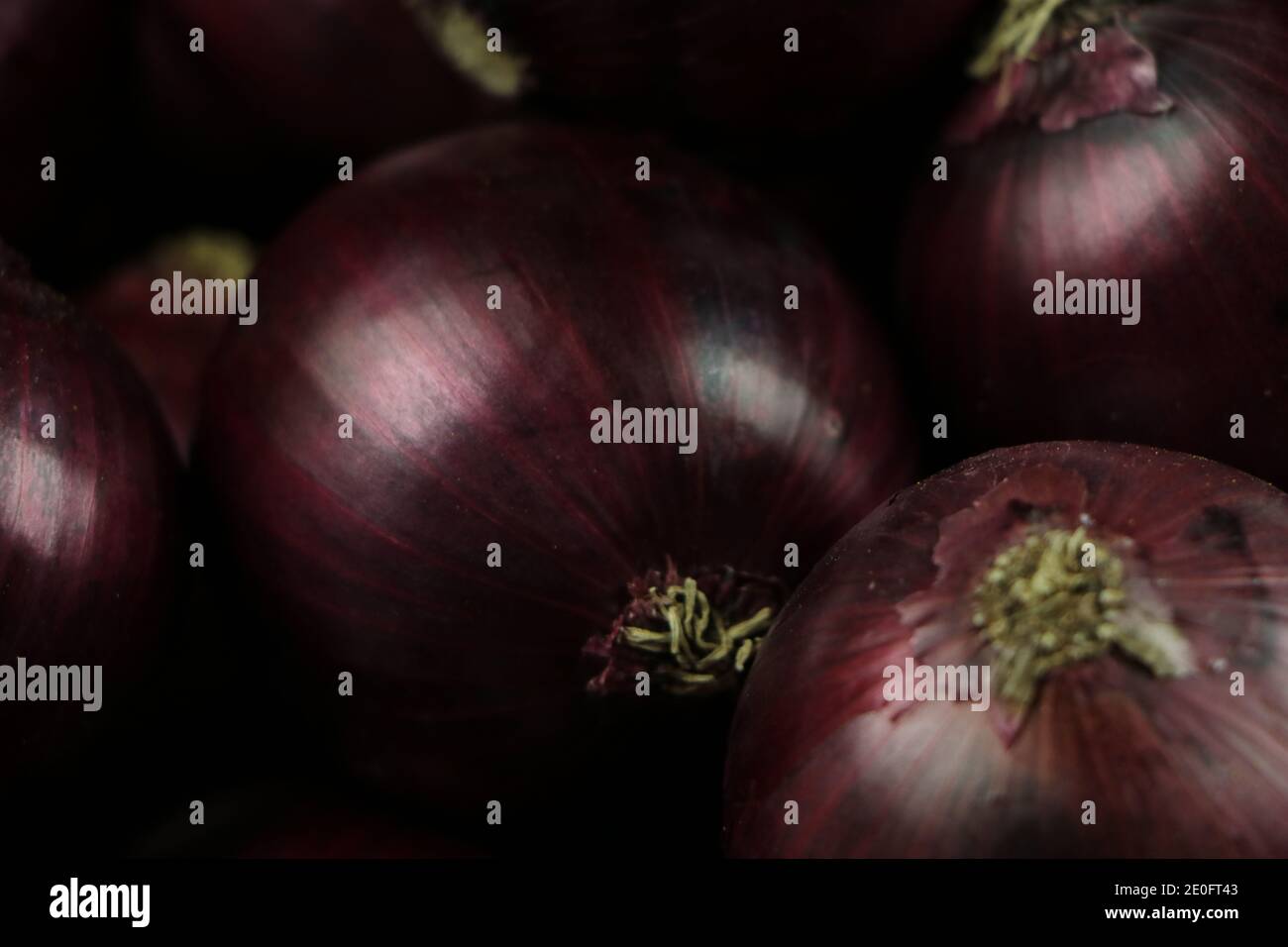 sweet red onions on background Stock Photo - Alamy