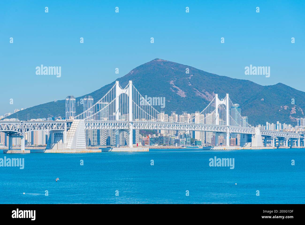 Gwangan bridge in Busan, Republic of Korea Stock Photo - Alamy