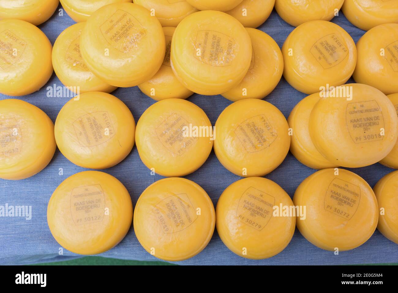 Array of small Gouda Cheese wheels at the Marketplace Stock Photo - Alamy