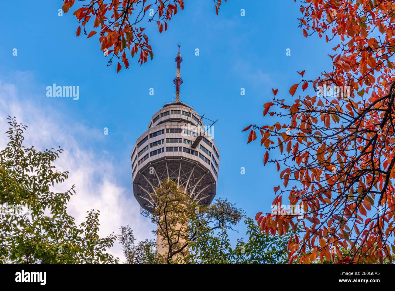 83 tower in Daegu, Republic of Korea Stock Photo - Alamy