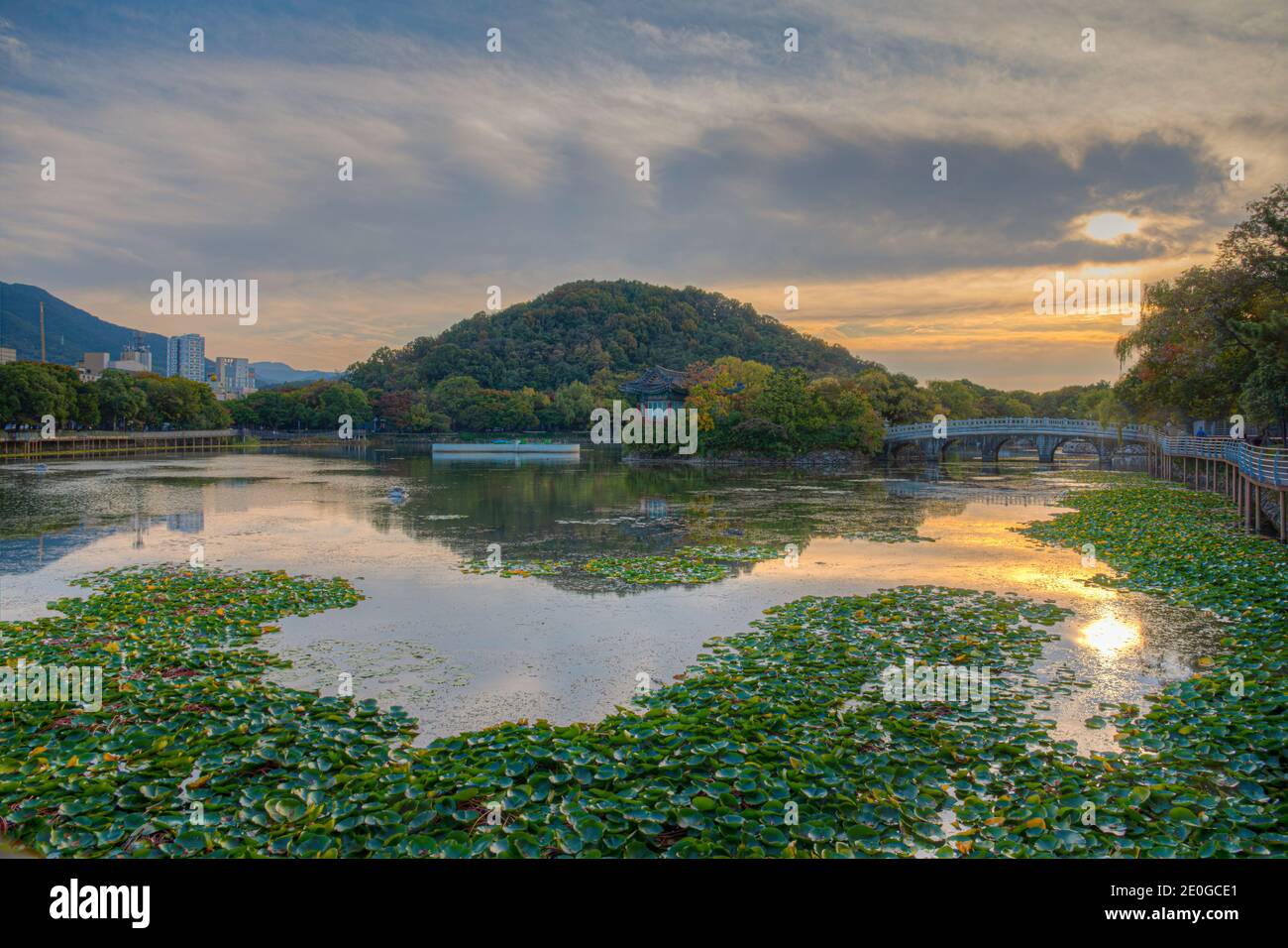 Duryu park south korea hi-res stock photography and images - Alamy