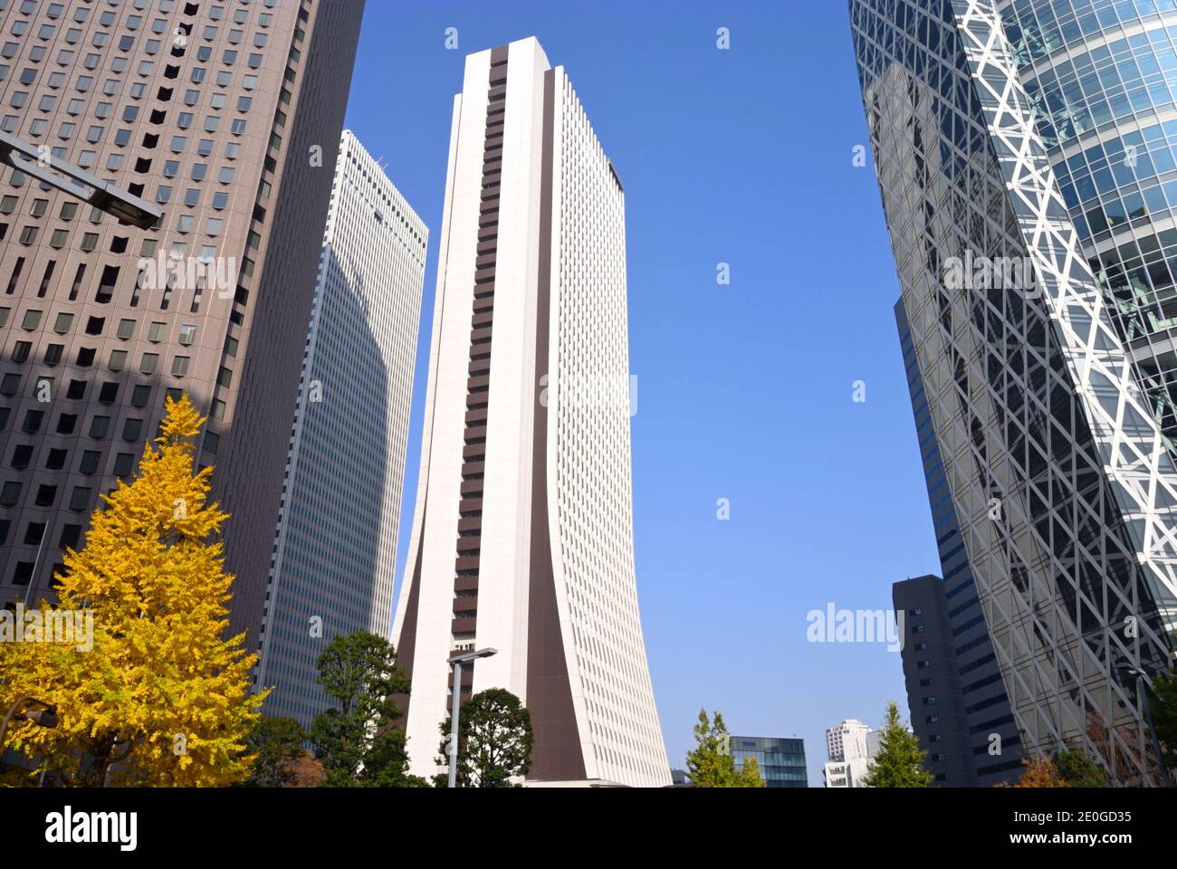 Tokyo shinjuku cocoon tower building autumn hi-res stock photography and images - Alamy