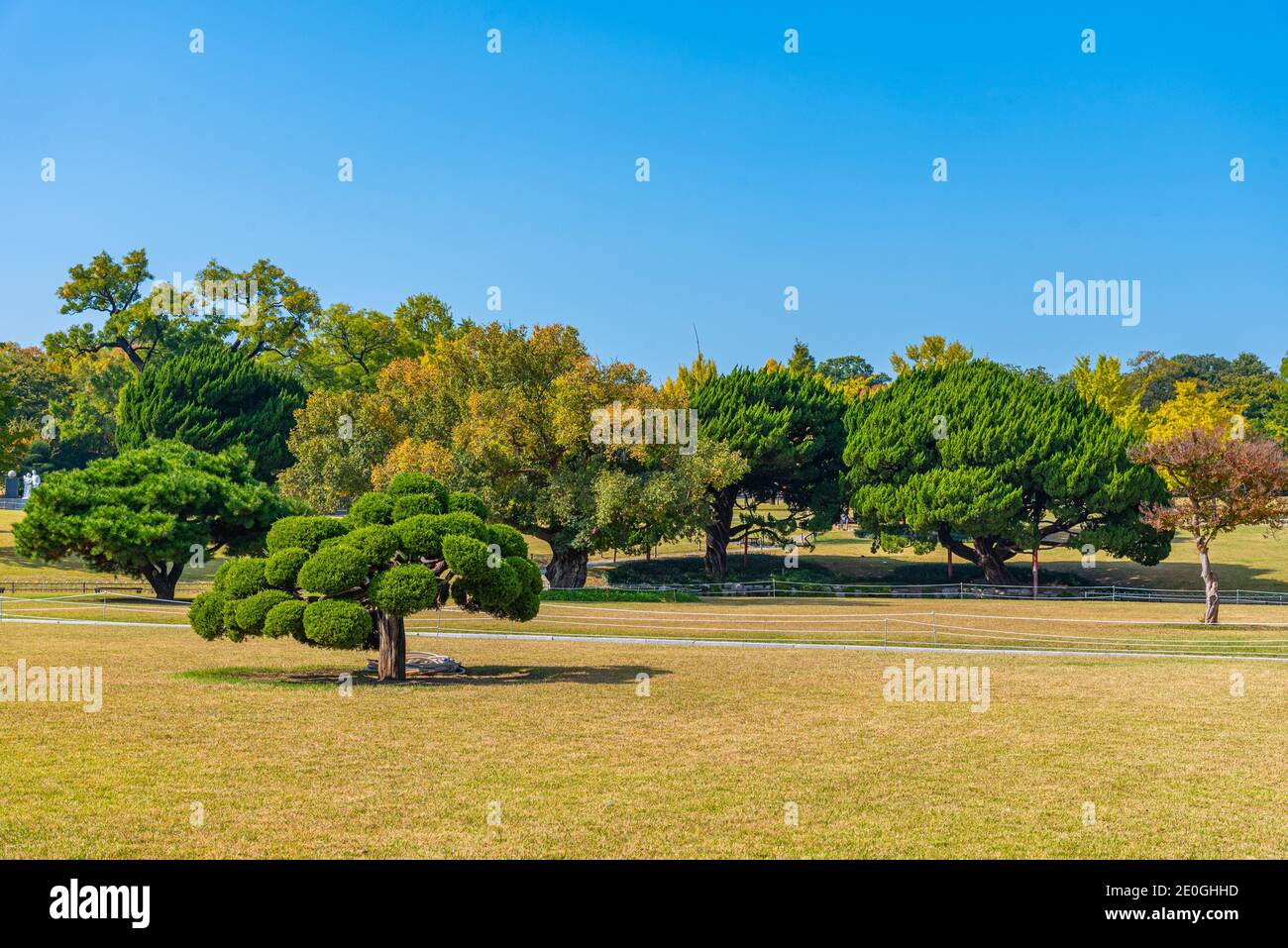 Dalseong park at Daegu, Republic of Korea Stock Photo - Alamy