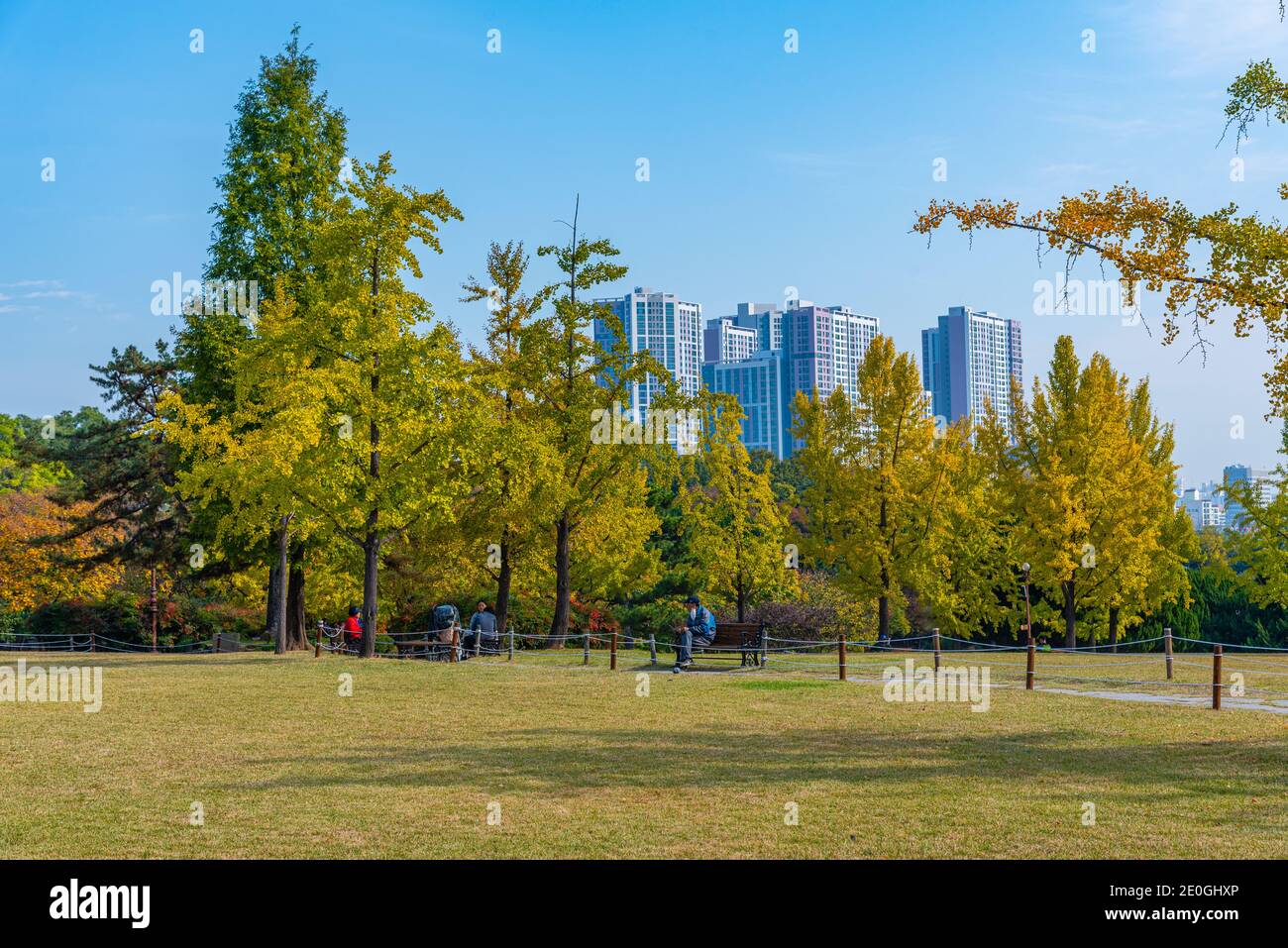Dalseong park at Daegu, Republic of Korea Stock Photo - Alamy