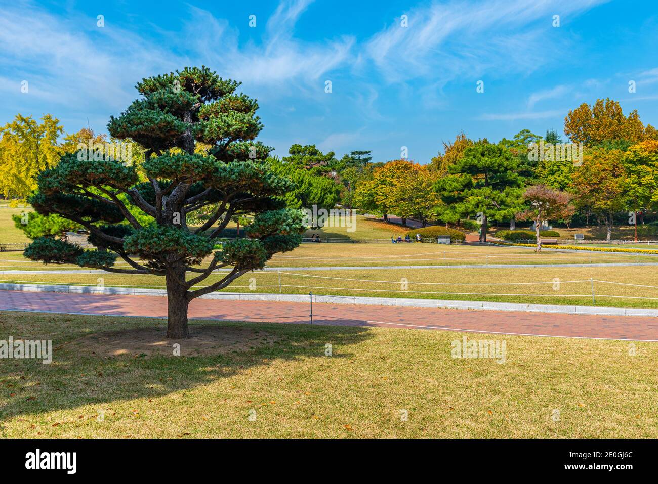 Dalseong park at Daegu, Republic of Korea Stock Photo - Alamy