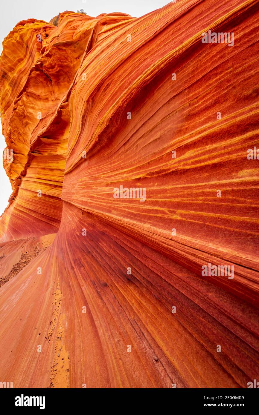 The Wave is a famous sandstone rock formation located in Coyote Buttes ...