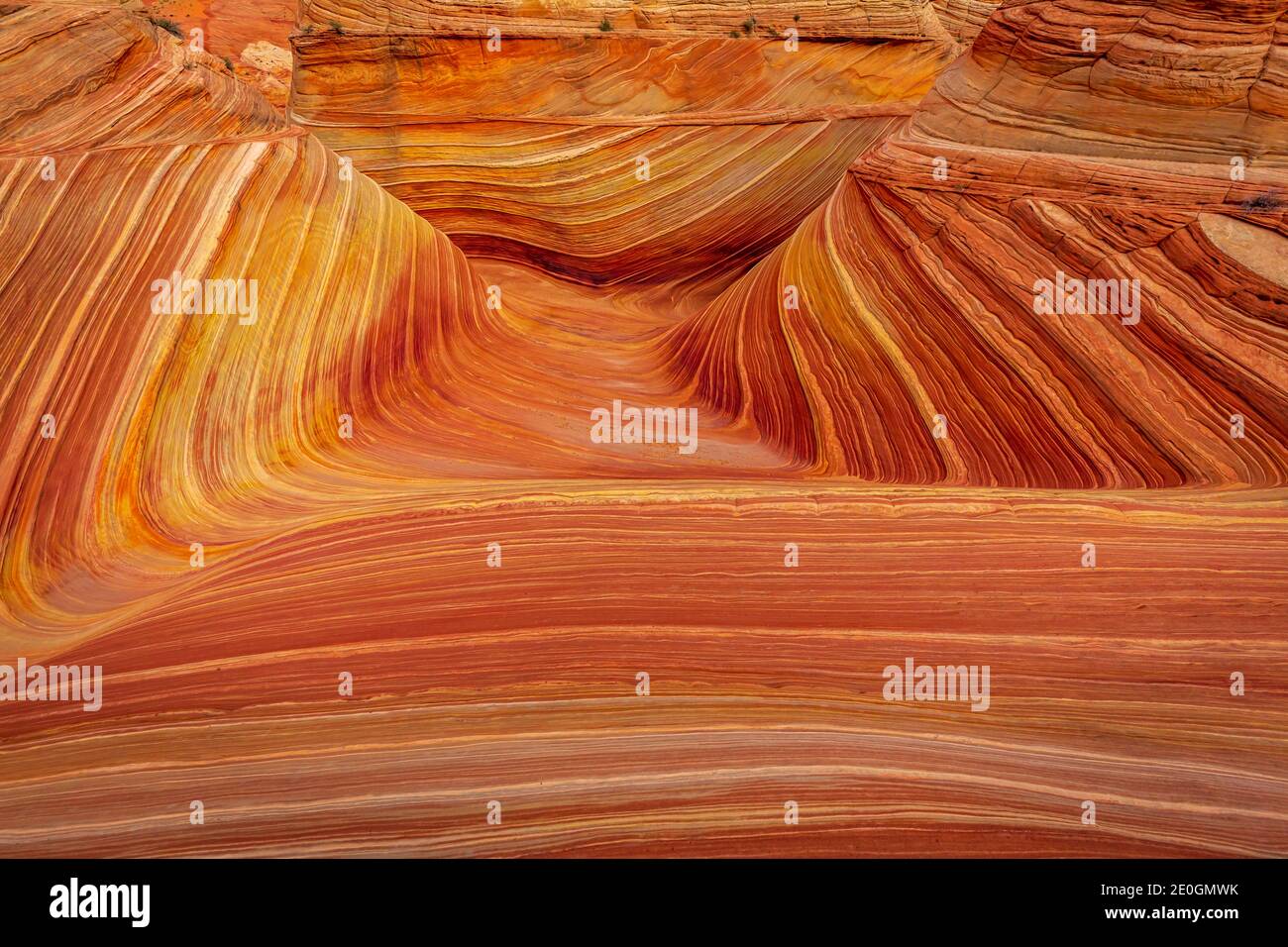 The Wave is a famous sandstone rock formation located in Coyote Buttes ...