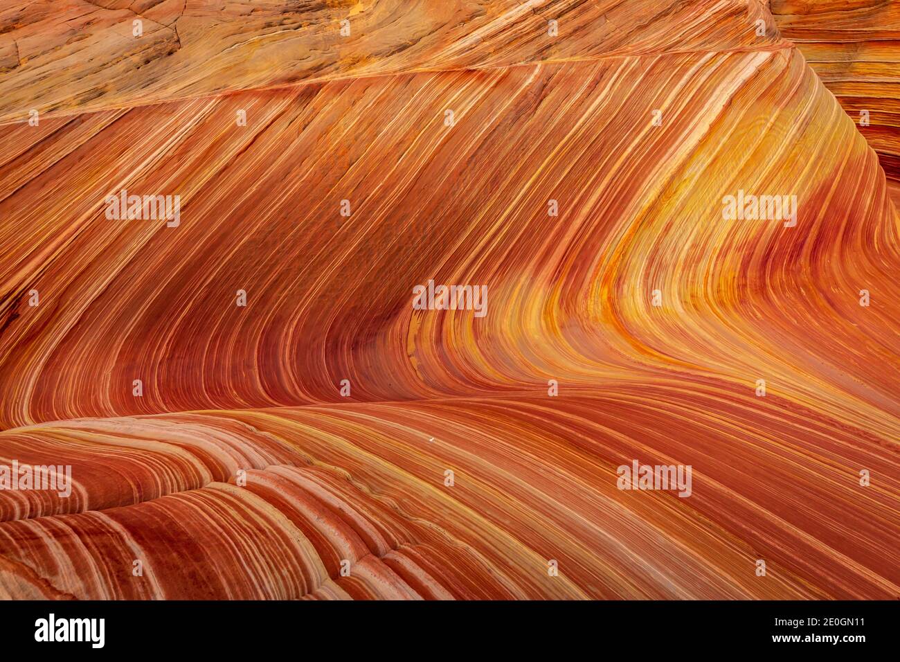 The Wave is a famous sandstone rock formation located in Coyote Buttes ...