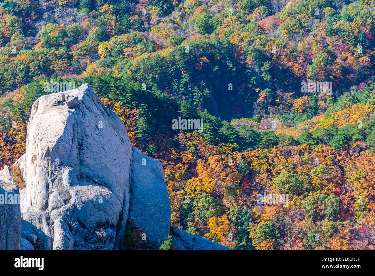 Colorful trees at seoraksan national park during autumn in Republic of ...