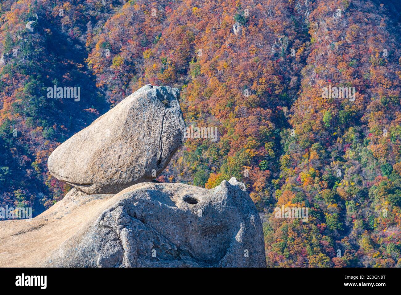 Colorful trees at seoraksan national park during autumn in Republic of ...