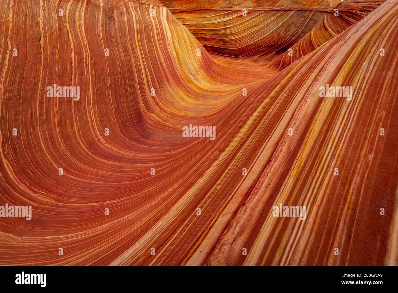 The Wave is a famous sandstone rock formation located in Coyote Buttes ...