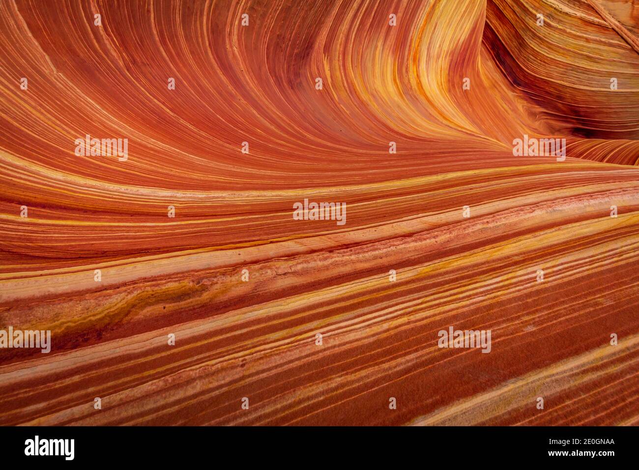 The Wave is a famous sandstone rock formation located in Coyote Buttes ...