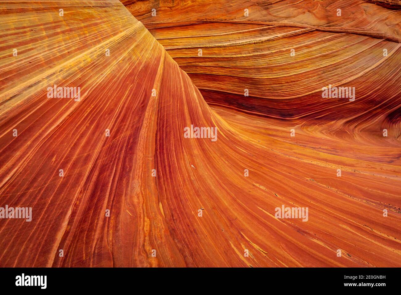 The Wave is a famous sandstone rock formation located in Coyote Buttes ...