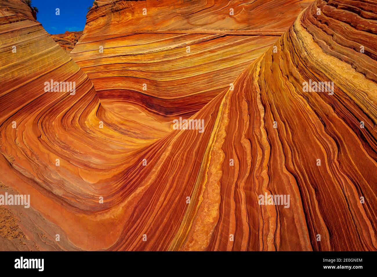 The Wave is a famous sandstone rock formation located in Coyote Buttes ...