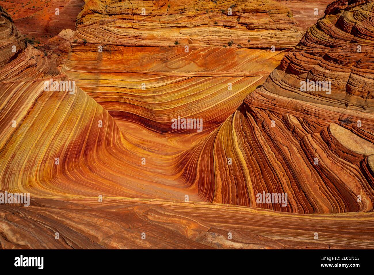 The Wave is a famous sandstone rock formation located in Coyote Buttes ...