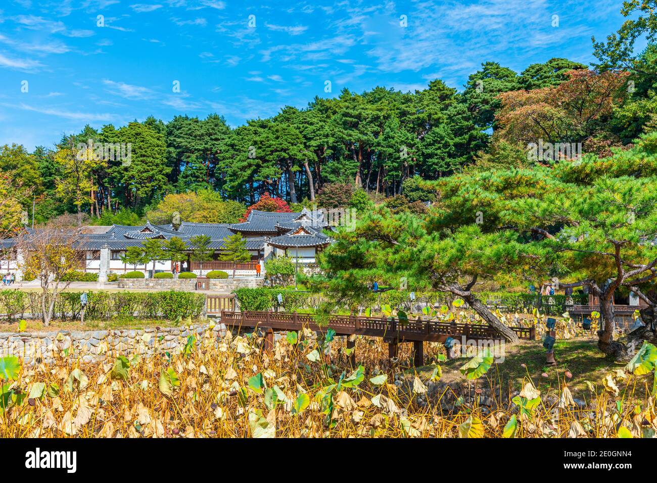 Seongyojang house gangneung gangwon hi-res stock photography and images ...