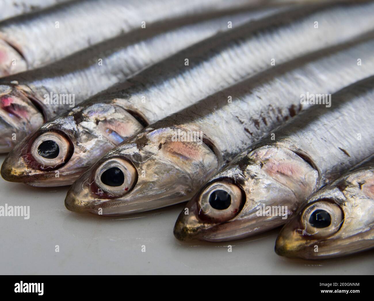 Anchovies anchovy preserved hi-res stock photography and images - Alamy