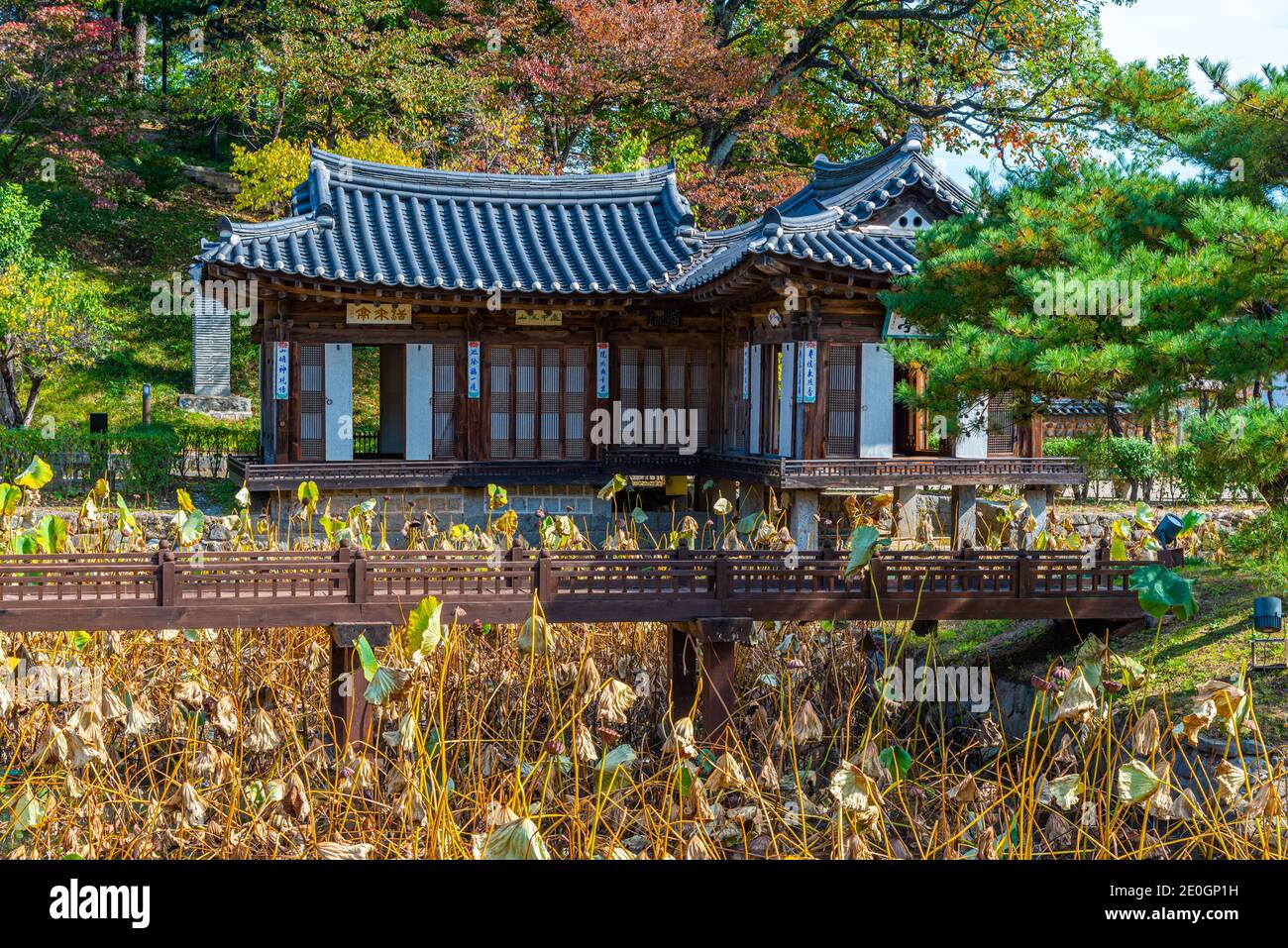 Seongyojang house gangneung gangwon hi-res stock photography and images ...