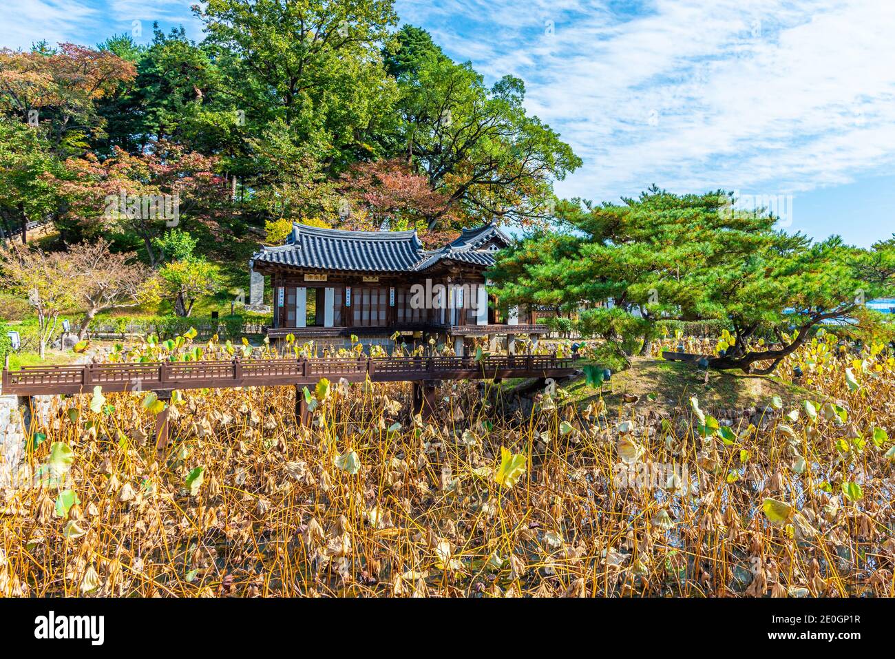 Seongyojang house gangneung gangwon hi-res stock photography and images ...
