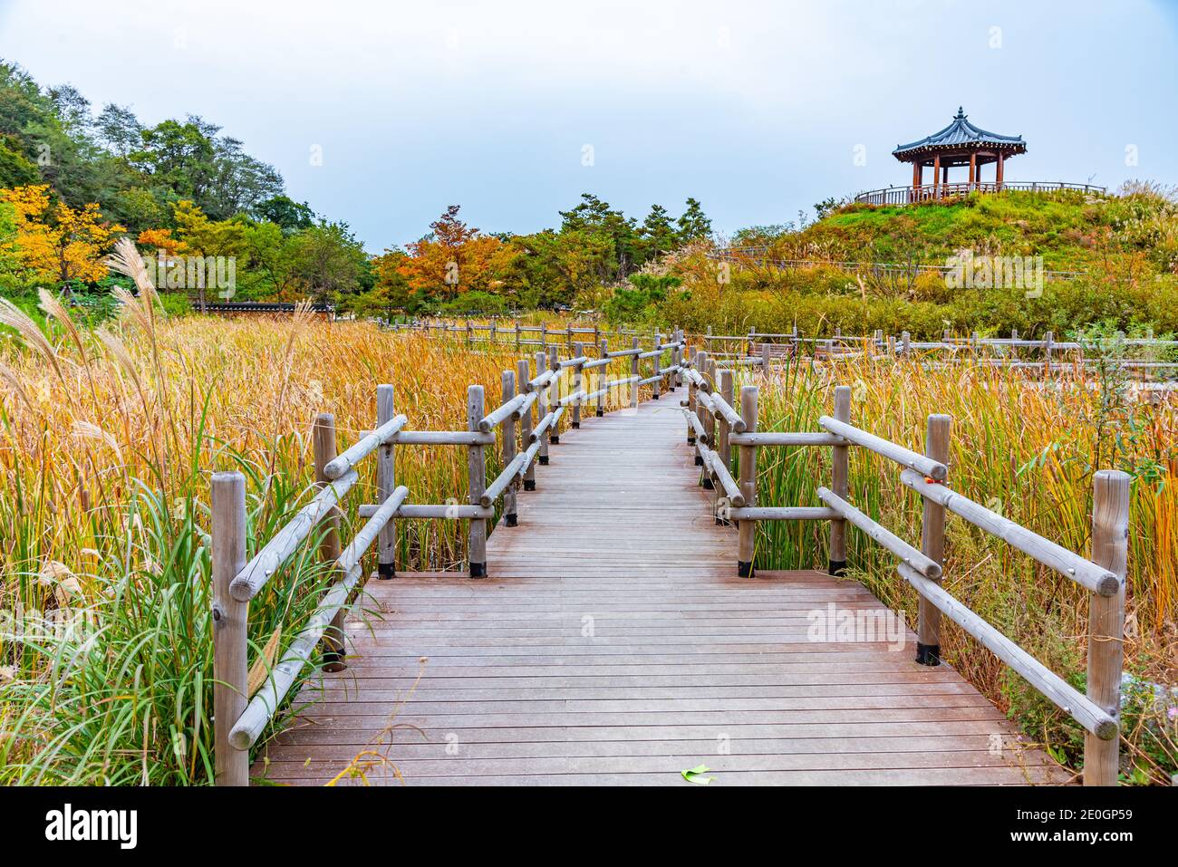 Park at Wolmido island in Incheon, republic of Korea Stock Photo - Alamy