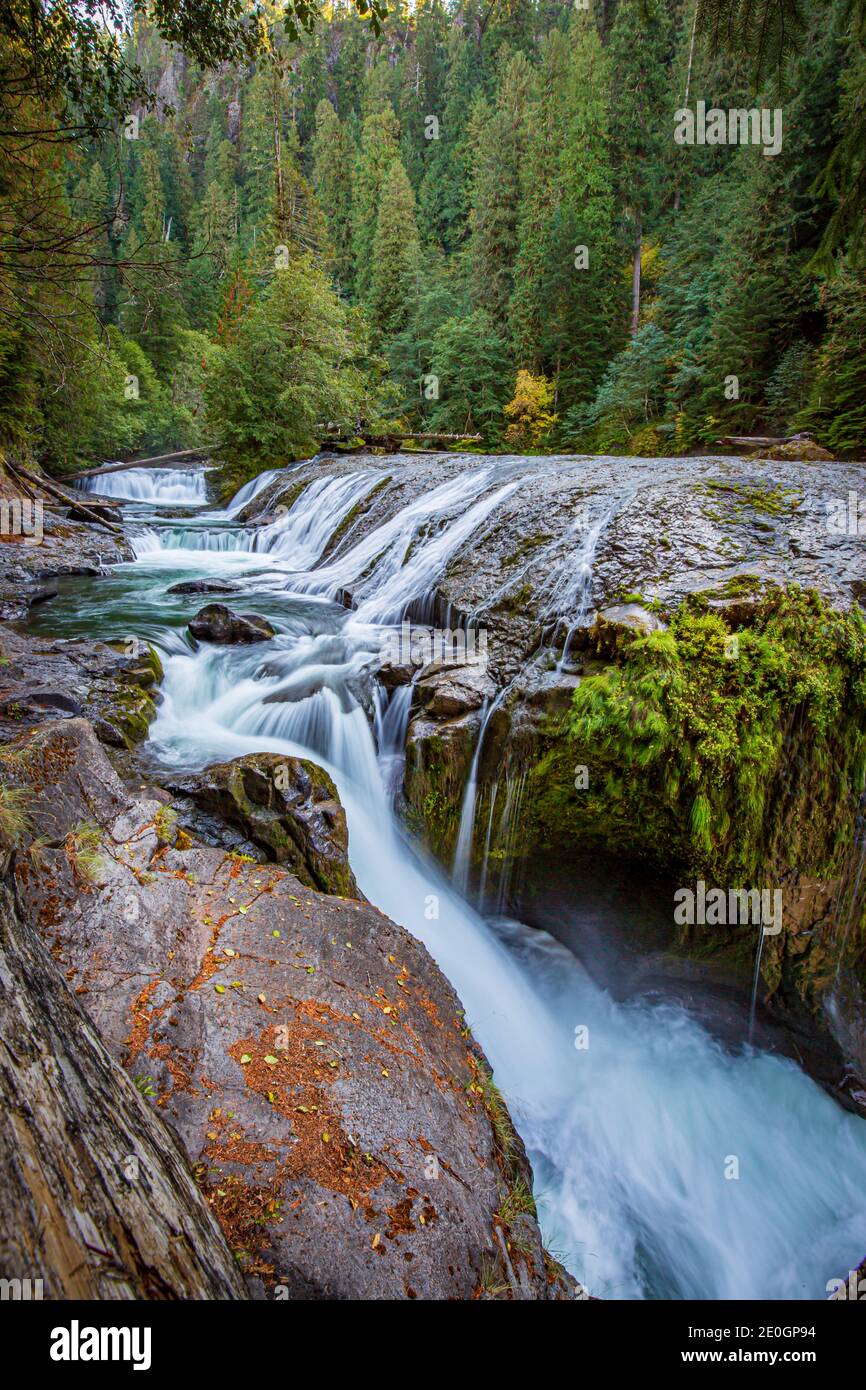The top of Upper Lewis Falls in Gifford Pinchot National Forest ...
