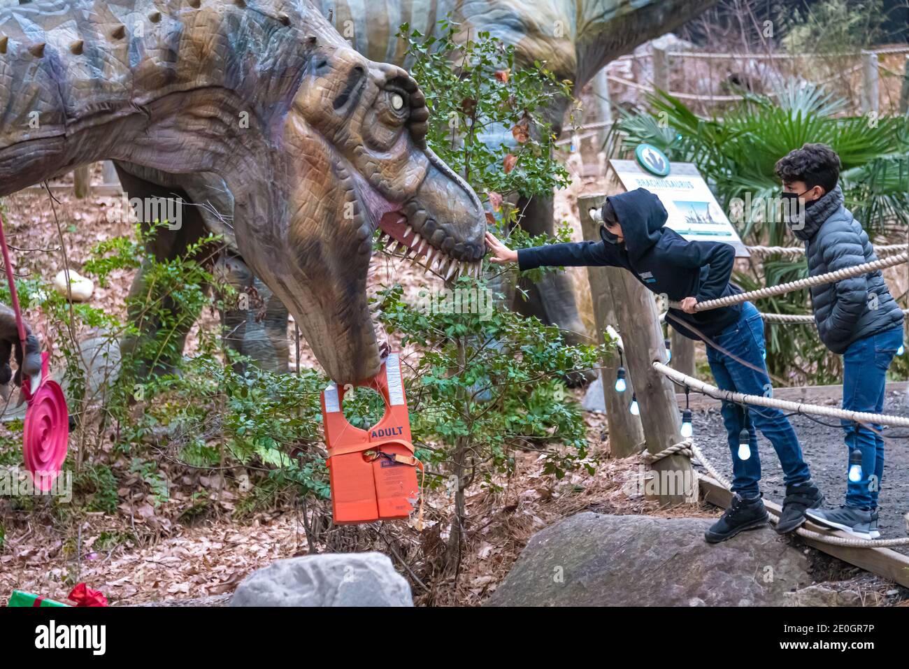 Tyrannosaurus rex jurassic park hi-res stock photography and images - Alamy