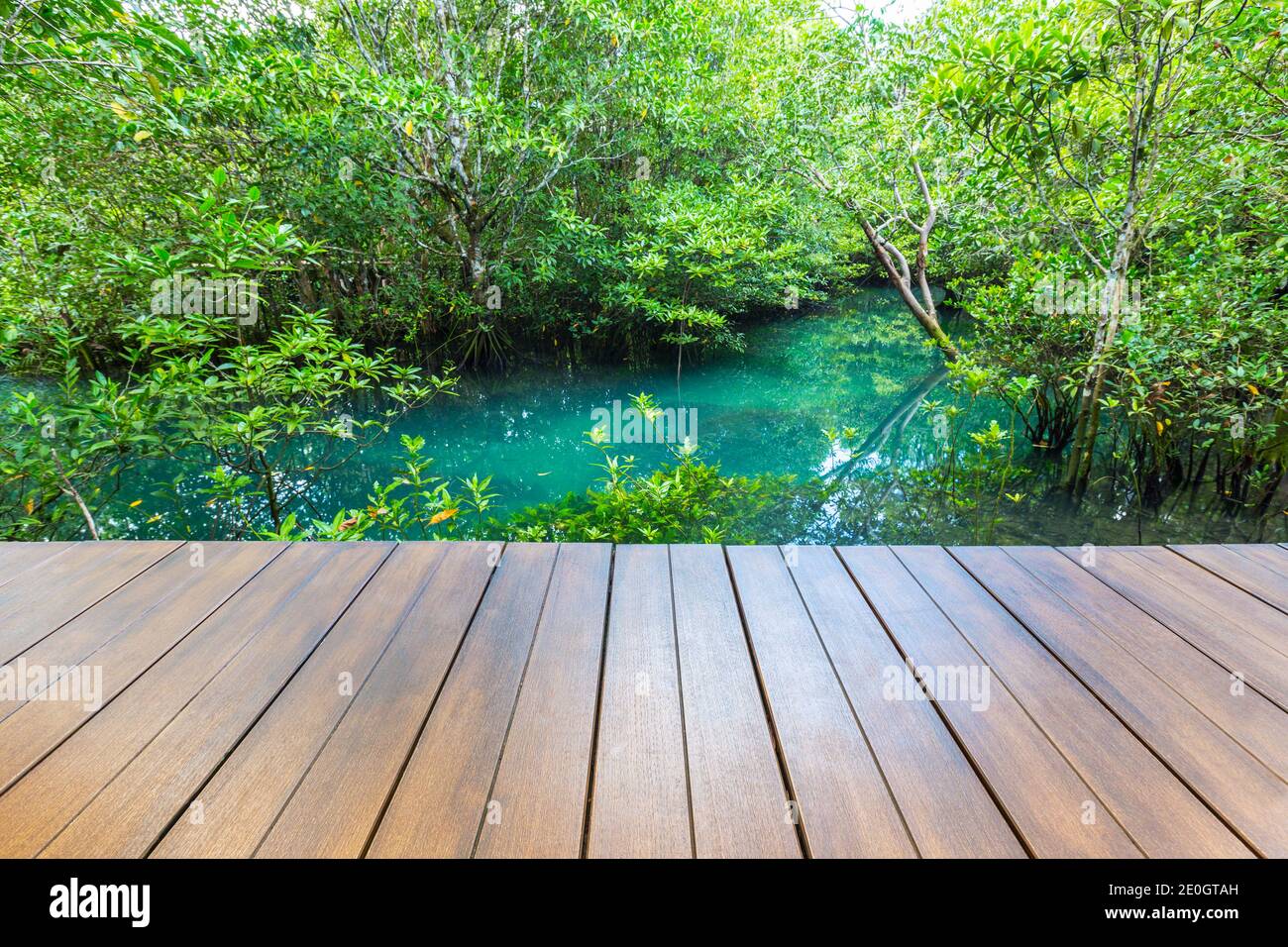 Wooden bridge byside on the Tropical tree roots canal, Nature ...