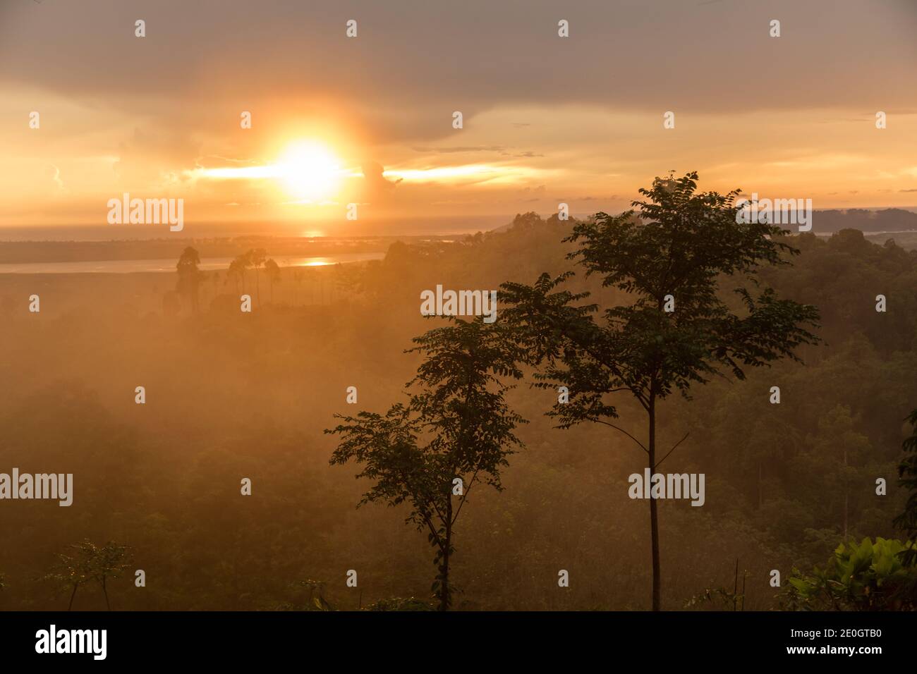 The magical sunset with tree on mountain Stock Photo - Alamy