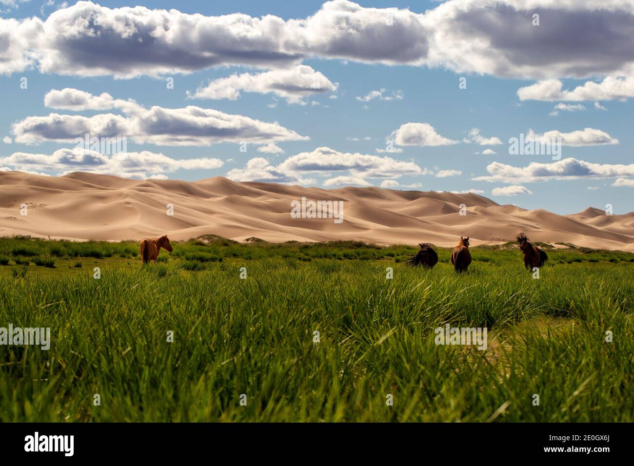 Mongolian bridge hi-res stock photography and images - Alamy