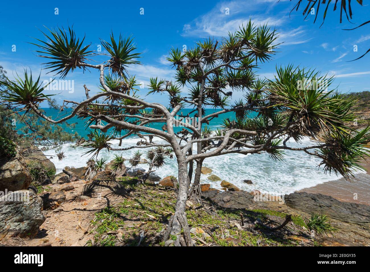 Wave queensland hi-res stock photography and images - Alamy