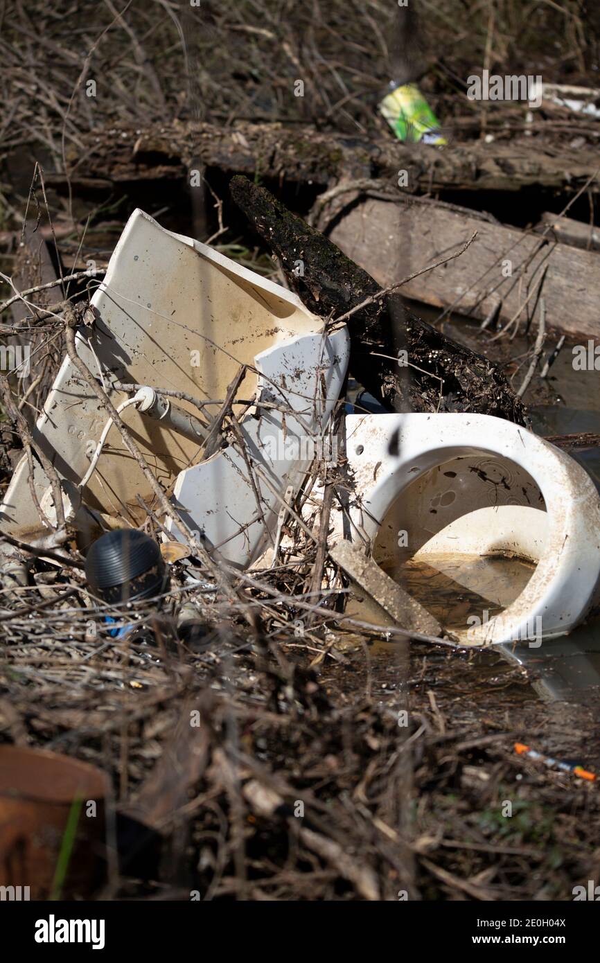 Broken ceramic toilet discarded in a swamp with other garbage Stock ...