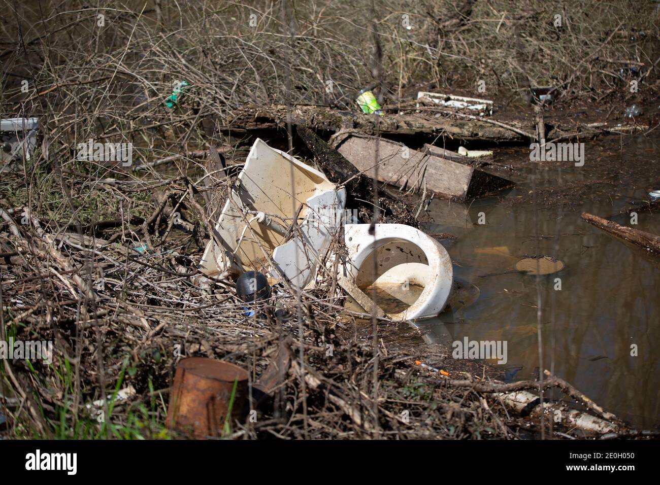 Broken ceramic toilet discarded in a swamp with other garbage Stock ...