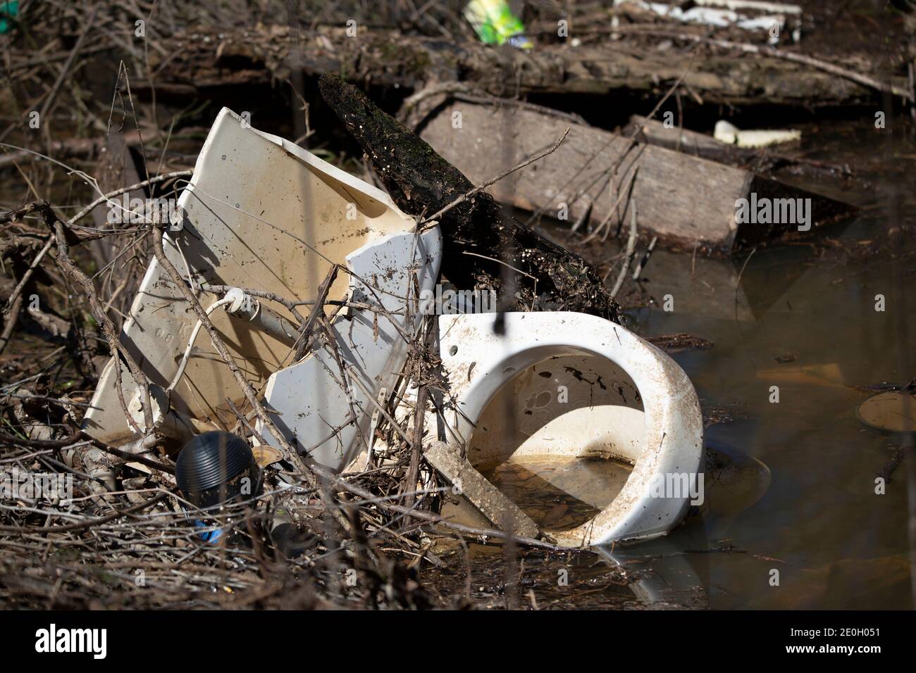 Broken ceramic toilet discarded in a swamp with other garbage Stock ...