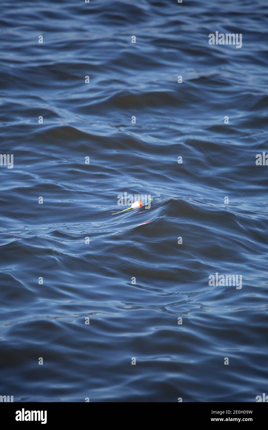 White and red fishing bobber floating at the top of a lake Stock Photo ...