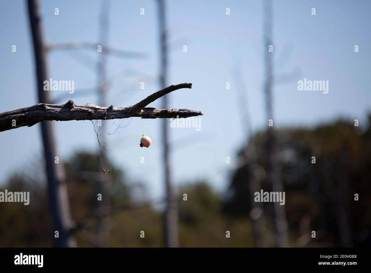 Fishing bait left on hi-res stock photography and images - Alamy