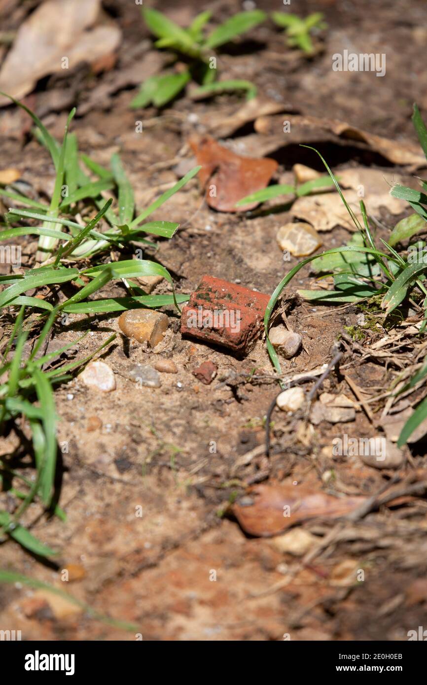 Broken brick litter in the dirt near grass Stock Photo - Alamy
