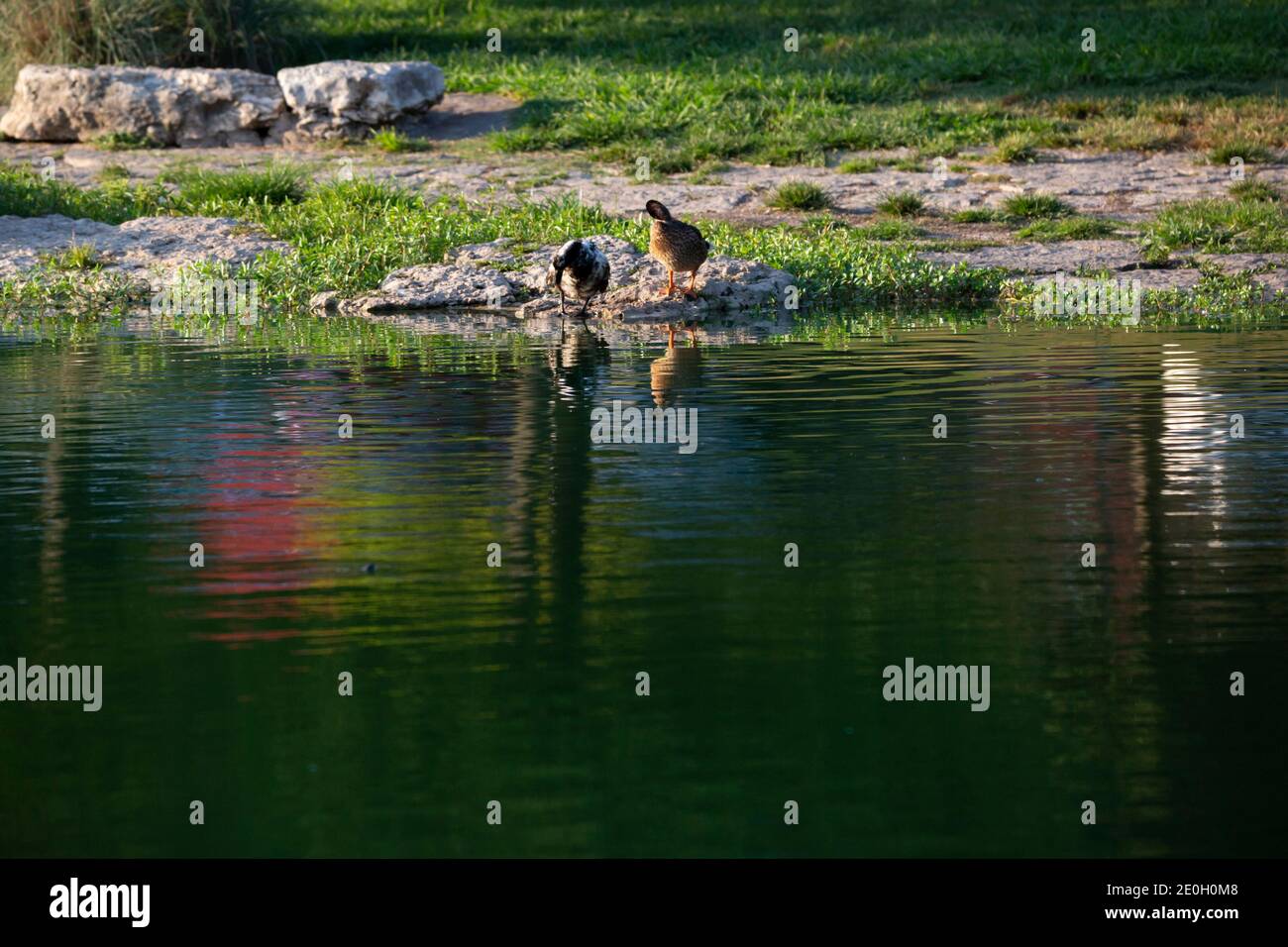Opposite rock hi-res stock photography and images - Alamy