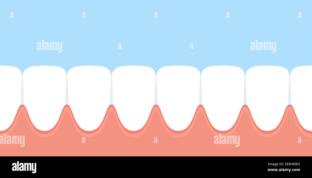 Row teeth and gum in mouth. Dental vector illustration Stock Vector ...