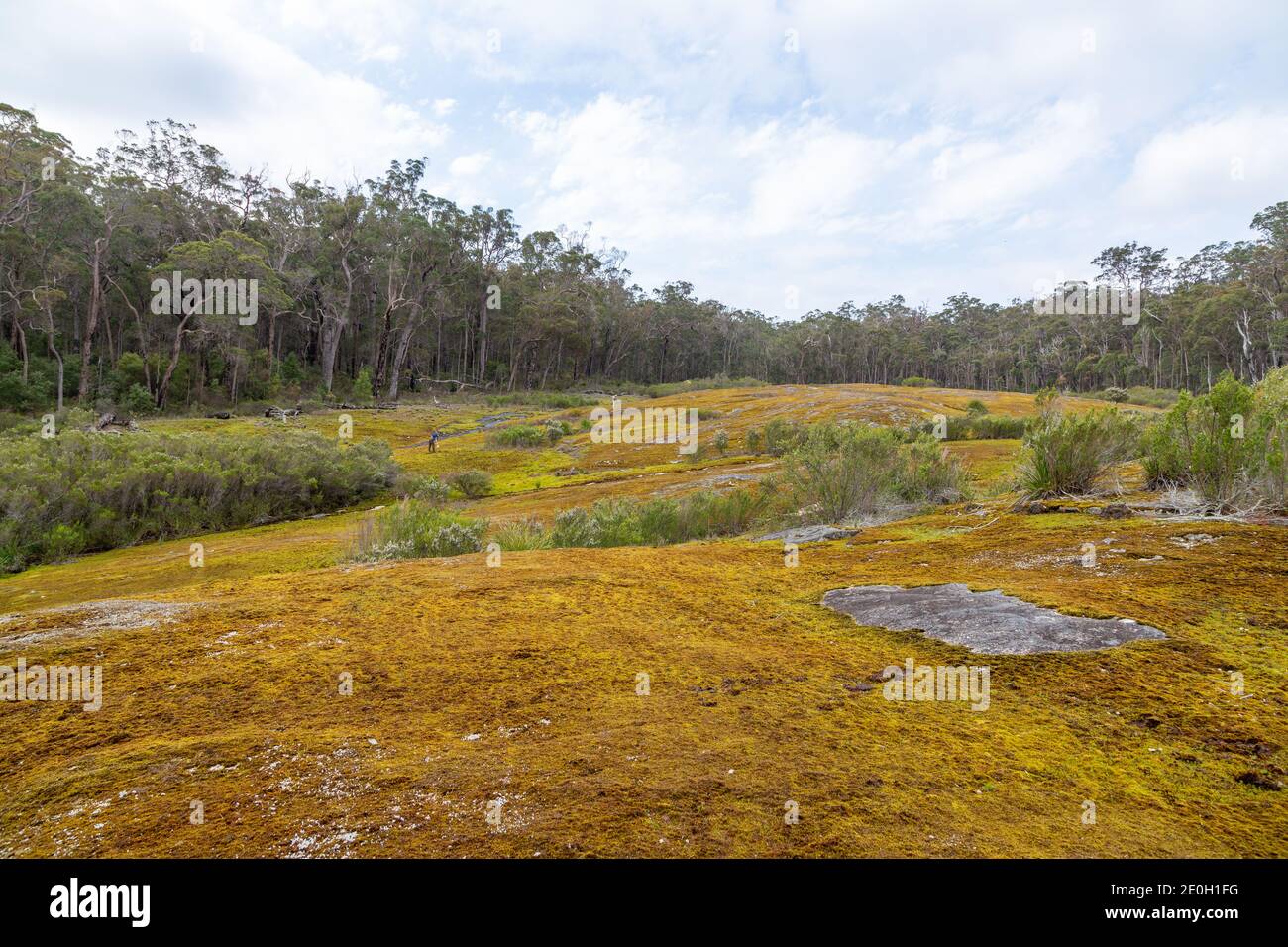 Northcliffe western australia hi-res stock photography and images - Alamy