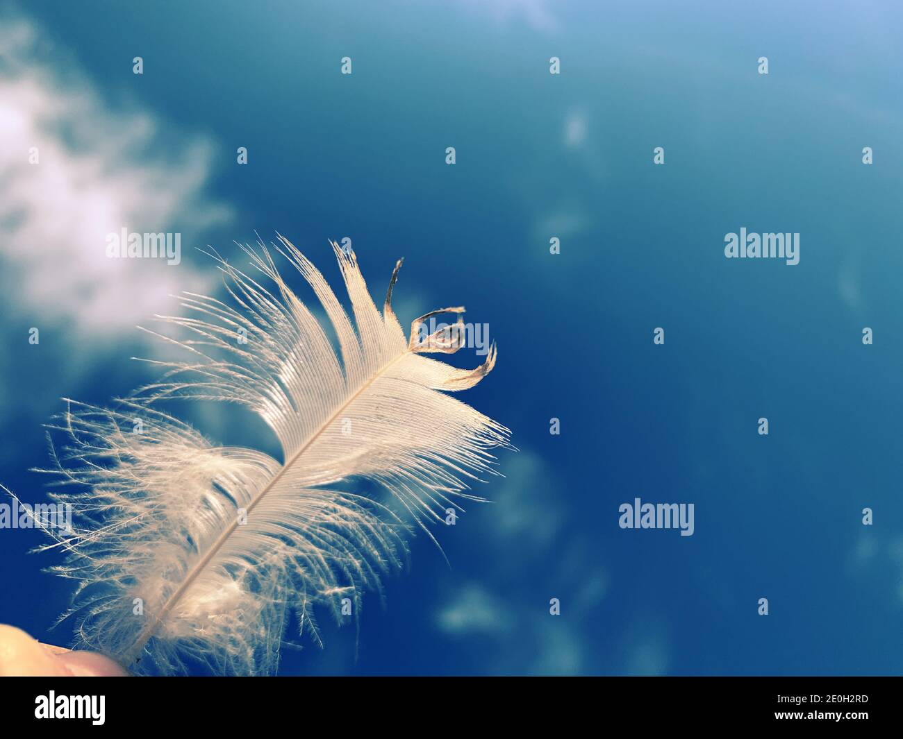 Hand holding a feather against blue sky Stock Photo - Alamy